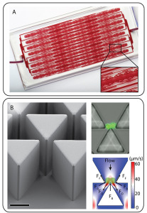 Research – Biomedical Microsystems Laboratory