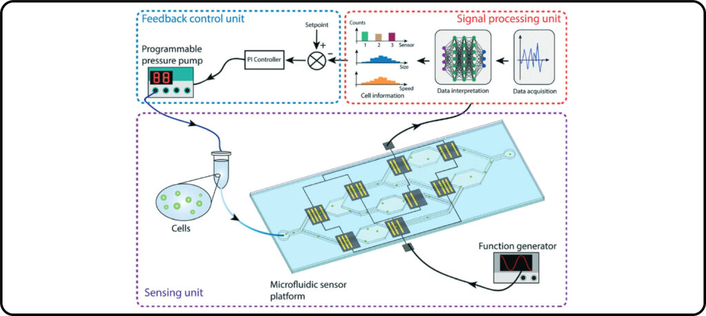 Publications – Biomedical Microsystems Laboratory