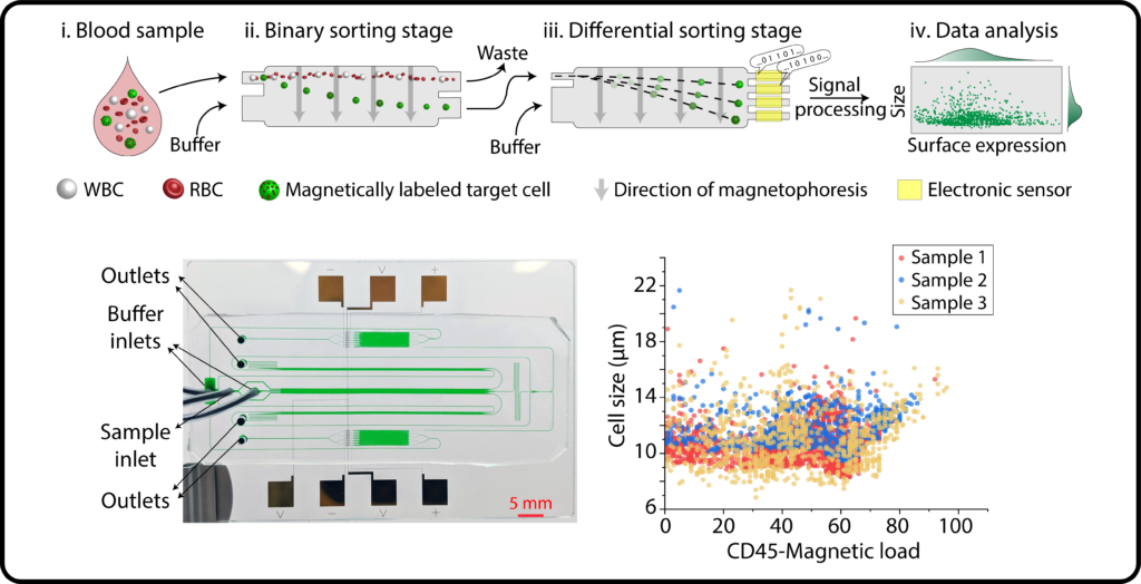 Publications – Biomedical Microsystems Laboratory