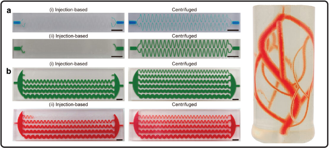 Publications – Biomedical Microsystems Laboratory